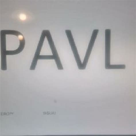 Pavl Youtube