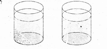 KSEEB Solutions For Class Science Chapter Study Of Cells KSEEB Solutions Nuclear