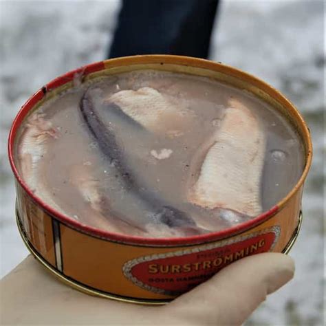 What Is Surstromming Its The Stinkiest Food On The Planet