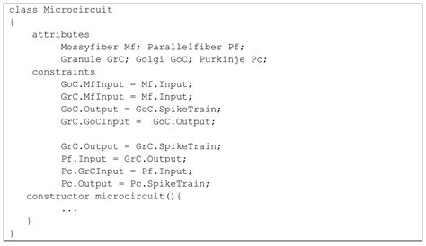 Temporal Constrained Objects For Modelling Neuronal Dynamics Peerj