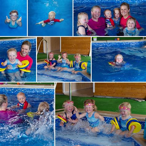 Holly Hops Small Holly Hops Small Animal Boarding