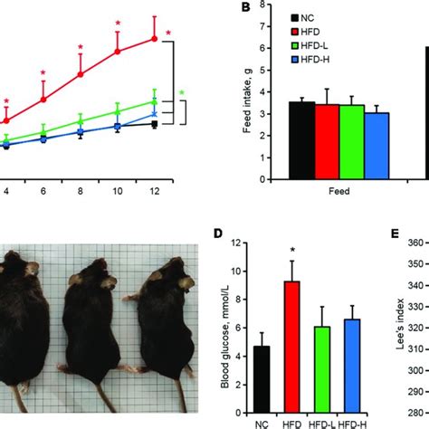 Mulberry Leaf Polyphenols Mlp Alleviated The Weight Gain Induced By