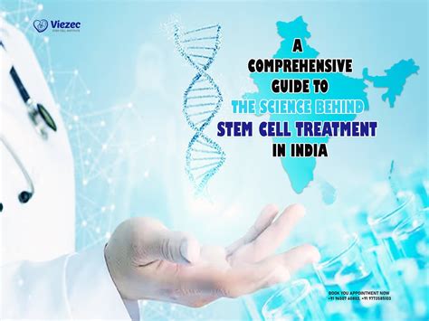 Science Behind Stem Cell Treatment Biology And Healing