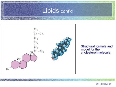 Lipids Powerpoint Recent 2lipids And Lipoproteins Includes The
