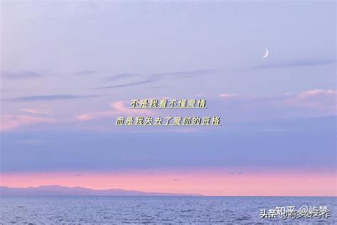 灵魂撕扯，我被这本爱情小说虐出内伤。” 知乎