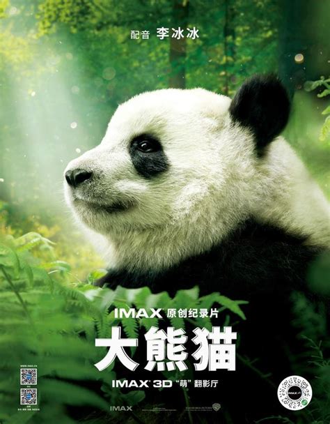 Imax發佈《大熊貓》配音特輯 每日頭條