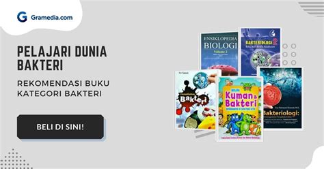 Archaebacteria Pengertian Ciri Struktur Klasifikasi And Contoh