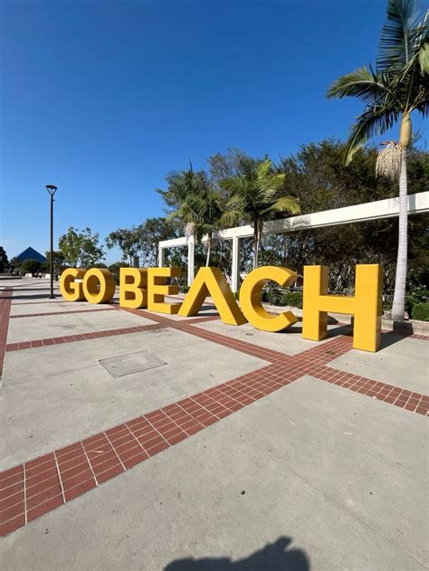 Pin By Angie On Long Beach State Long Beach California State