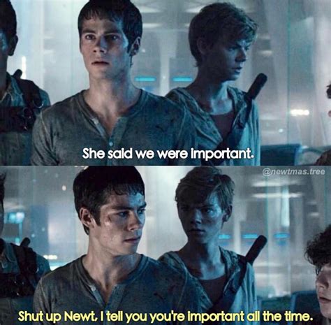 Pin By Cindy Wolden On Adahs Board Maze Runner Funny Maze Runner