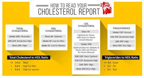 Cholesterol Results Interpretation At Susan Guthrie Blog