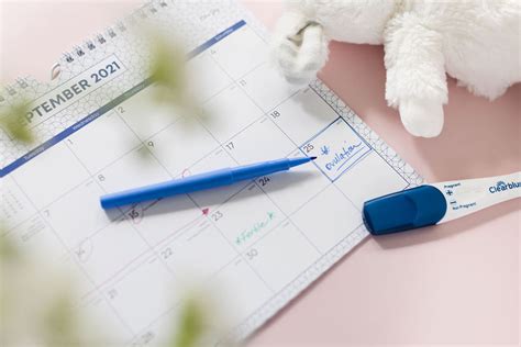Boosting Fertility Naturally 6 Tips And Techniques