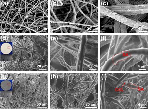 Sem Photographs A C Cl Fibers D F Ccl La 0 G I Ccl La 100 Download Scientific Diagram