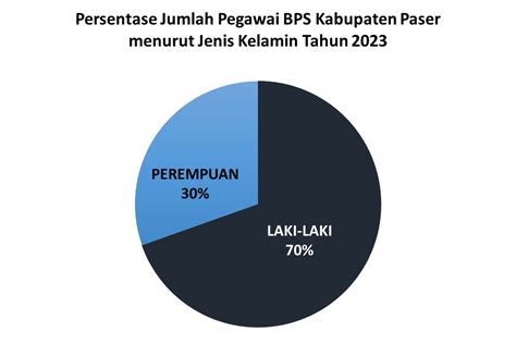 Informasi Tentang Kepegawaian Dan Keuangan Portal Ppid Bps Ri