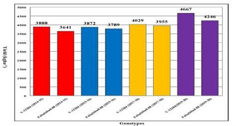 Years Average Yield Performance Of V 12304 Over 18 Locations In Nuwyt