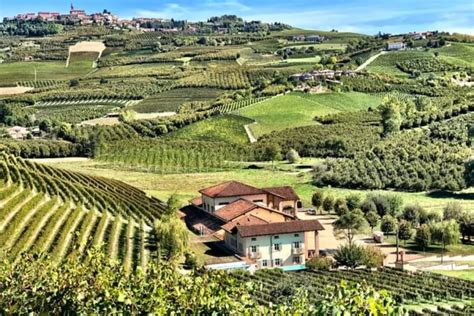 La Spinetta Piccolo Derthona Timorasso 2023 Vineum 酒宅