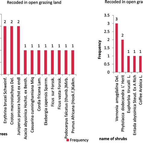 Population Frequency Value Of Trees Left And Shrubs Right In The