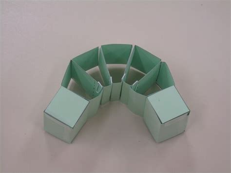 Apical Constriction Anatomy Teaching Models