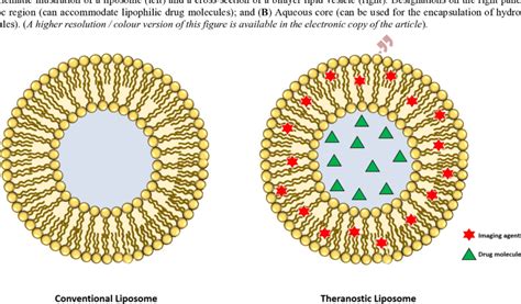 Schematic Representation Of A Conventional Liposome Vs A
