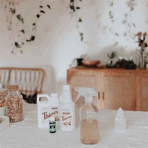 5 Reasons You Should Use A Plant Based Cleaner — Botanica Tribe