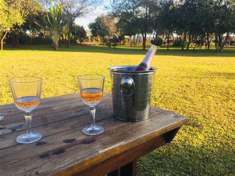 Iris Beer Garden The Vibe Happy Saturday 🍻 Facebook