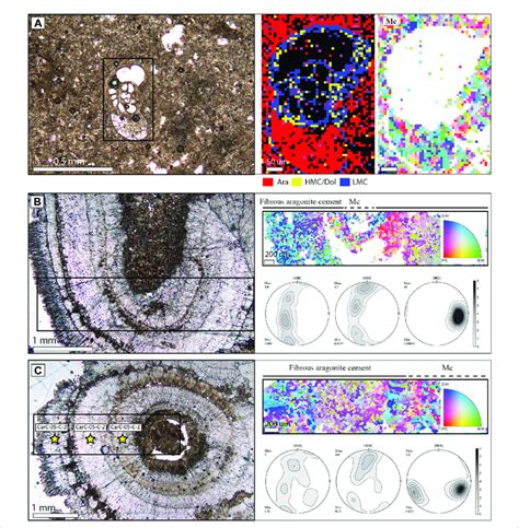 Thin Section Micrographs And Ebsd Phase And Crystal Orientation Maps Of