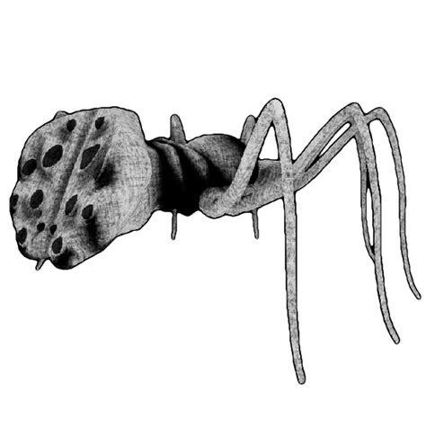 Spider Content Warning Wiki