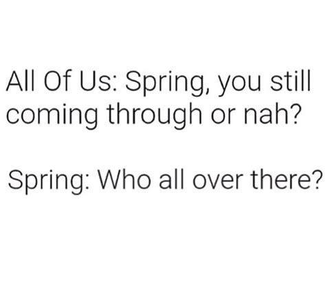 Spring Memes Humor