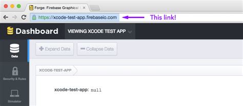 Linking Xcode With Firebase Part 2