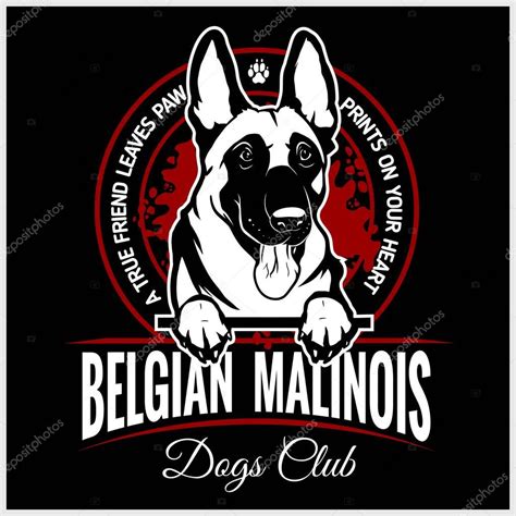 Malcom Malcom Belga Perro Pastor Belga Ilustración Vectorial Para Camisetas Logotipo Y