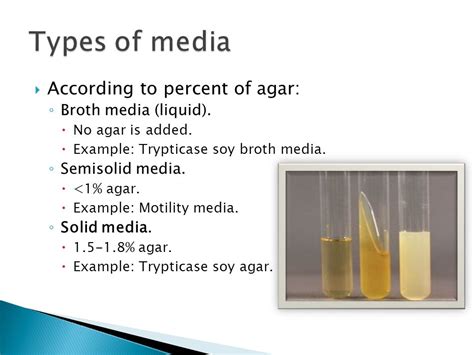 Select All The Media That Are Considered Liquid Media