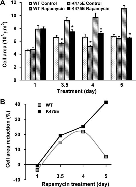 Hypertrophy Phenotype Induced By Overexpression Of The K475e Mutant In