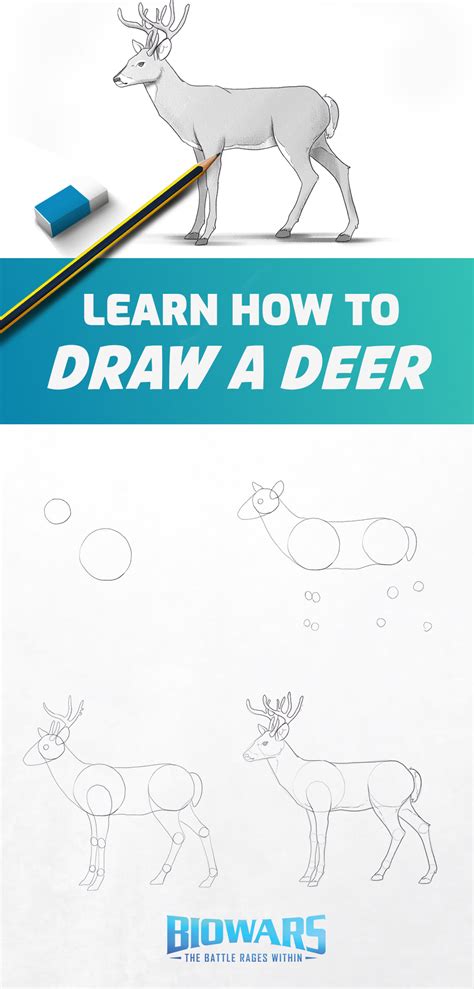 How To Draw A Deer Step By Step In 2025 Deer Drawing Deer Drawing