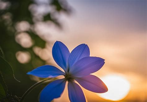 Ovulation Hormones Explained