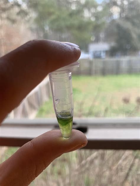 Dmt Extraction With Hoffman Reagent Why Is It Sooo Green R Reagenttesting