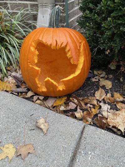 My Pumpkin This Year Tumbex