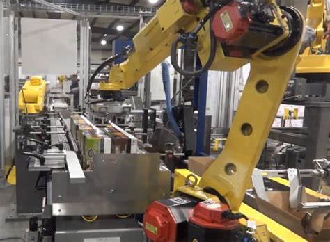 Case Packing Remtec Robotics And Automation