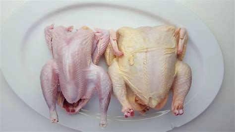 Chicken Meat Images