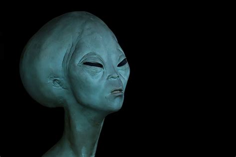 Mans Had Over 100 Surgeries To Become Genderless Alien