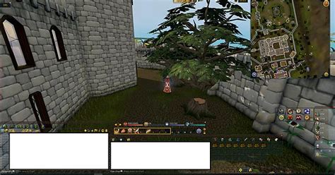 Schrödingers Yew Tree Imgur