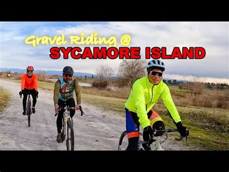 Gravel Riding At Sycamore Island Madera Ca Fresno Ca Pinoy Gravel