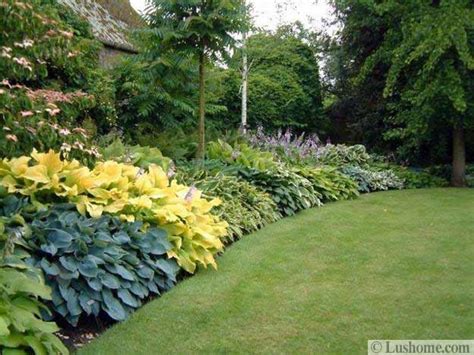 Hosta Front Yard Landscaping Ideas 38 Amazingly Green Front Yard