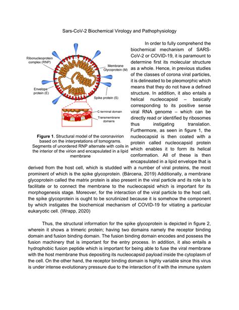 Pdf Sars Cov 2 Biochemical Virology And Pathophysiology