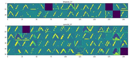 Chiustin Visualizing Intermediate Activation In Convolutional Neural