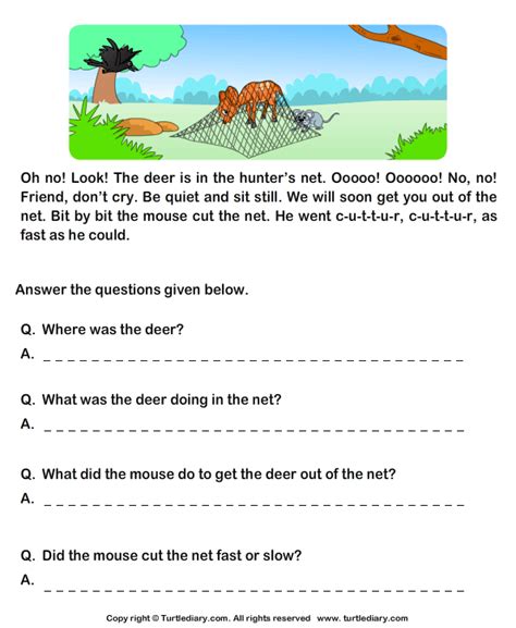 Turtle Diary Worksheets Grade 5 English