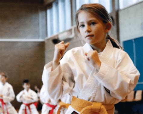 Karate Classes In London Gkr Karate