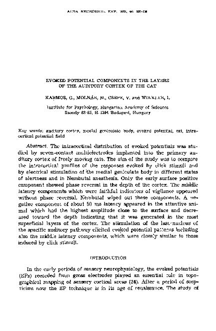 Pdf Evoked Potential Components In The Layers Of The Auditory Cortex Of The Cat
