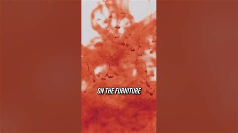 Bible Jesus God Chrsitian Worship Trending Viralvideo