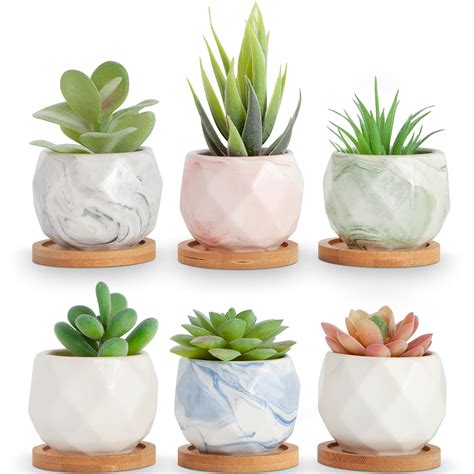 Small Indoor Plant Containers Choosing Indoor Plant Containers