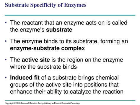 The World Of The Cell Chapter 6 Enzymes The Catalysts Of Life Ppt