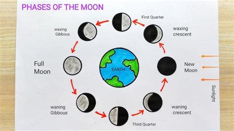 Moon Phase Diagram